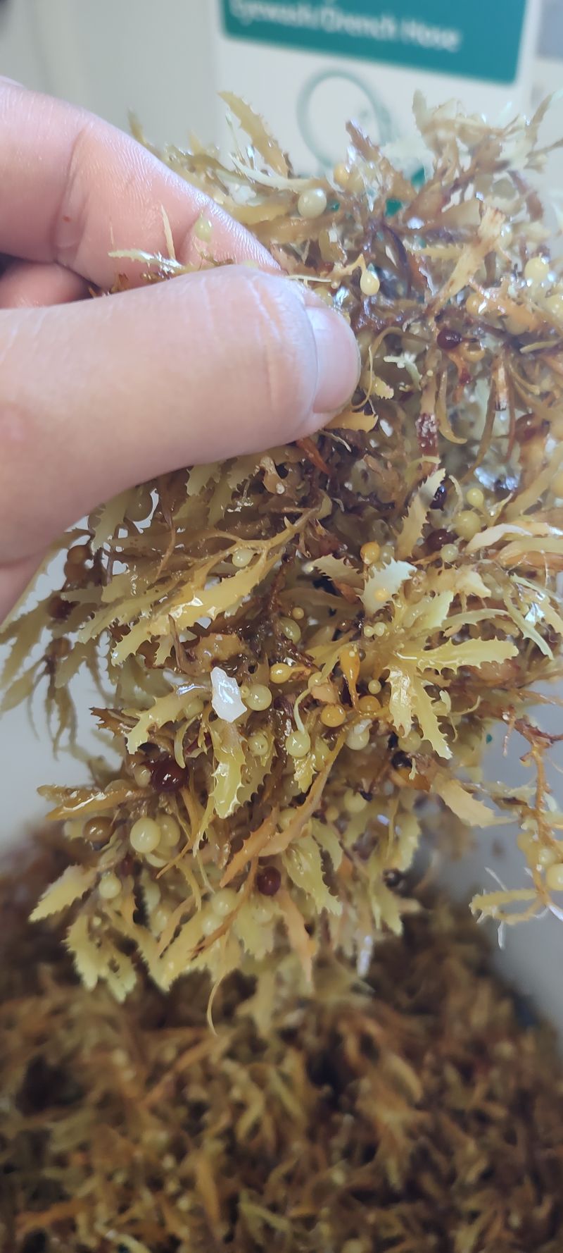 5 NSF Projects Transforming How Researchers Understand Plastic Waste